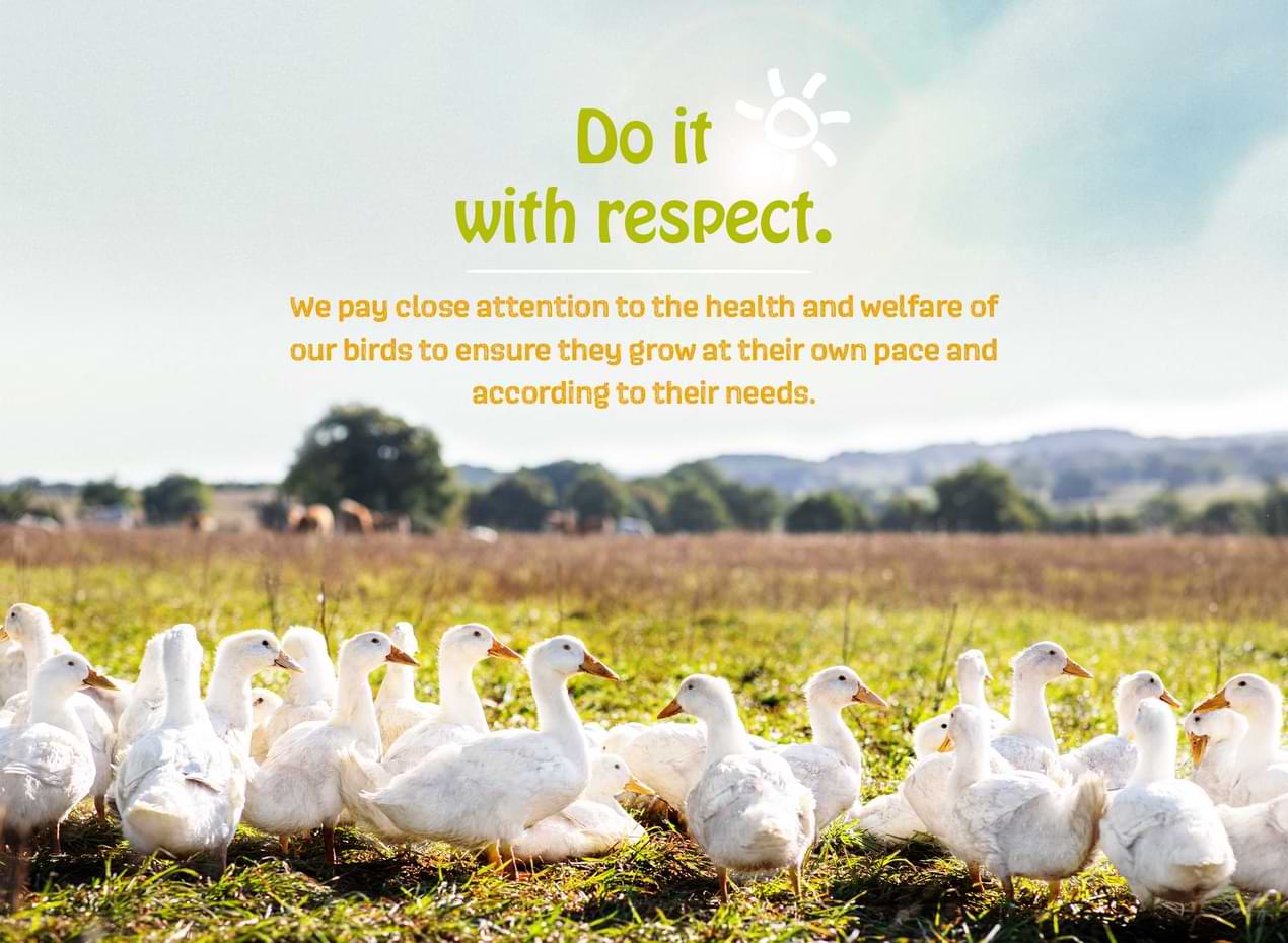 Nature & Respect - Home